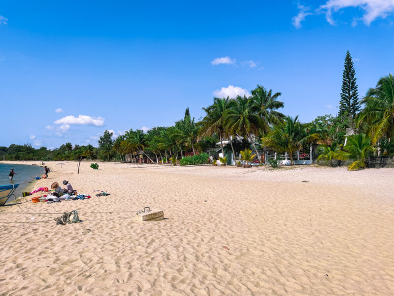 Palmarium Madagaskar | Lemuren hautnah erleben